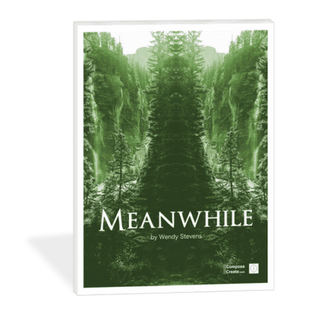 Meanwhile - Intermediate piano solo by Wendy Stevens