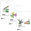 April Song + May Song + June Song by Diane Hidy